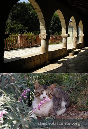 St. Nicholas of the Cats—Ayios Nikolaos ton Gaton—Monastery ::: St ...