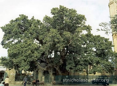 St. Nicholas Cathedral—Lala Mustafa Pasha Mosque ::: St. Nicholas Center